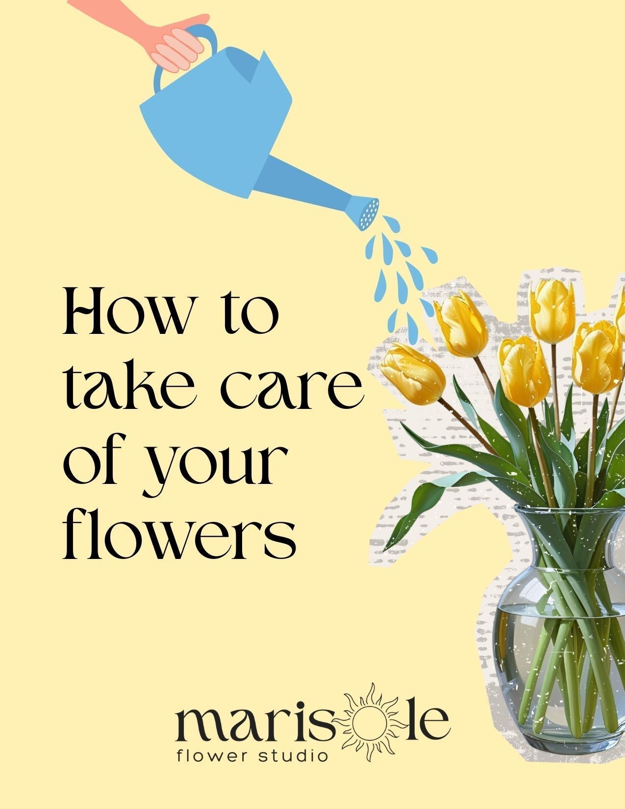 How to Take Care of Flowers | Aventura & Miami Flower Delivery ...